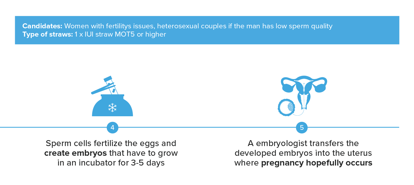 How do lesbian couples have a baby? | Cryos