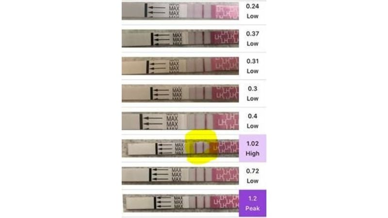 Ovulation tracking - how to do it | Cryos