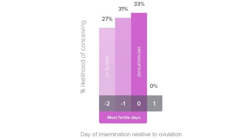 Ovulation tracking - how to do it | Cryos