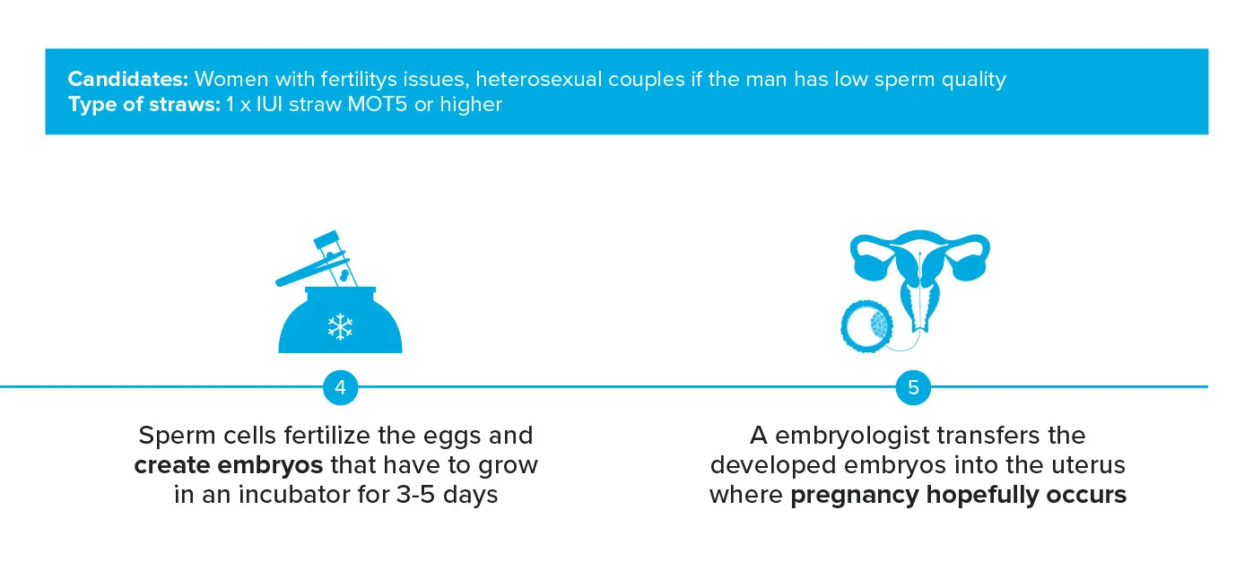 Infographic about IVF treatment